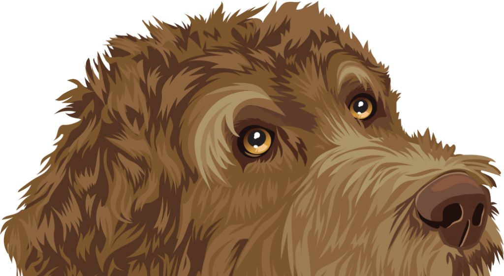 Cobberdogs | American Cobberdog Club